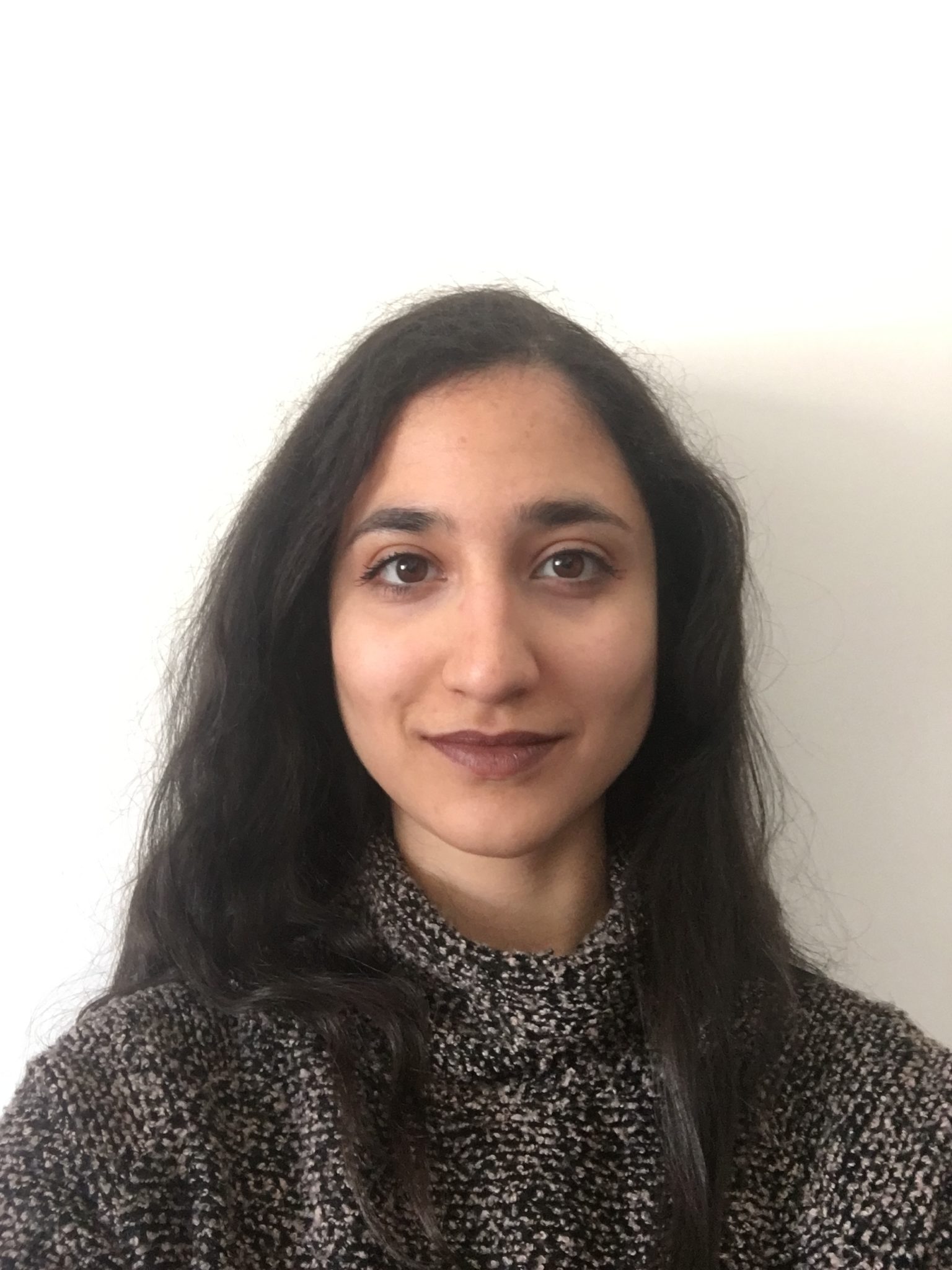 Meet the EDISS team – part 2 – EDISS